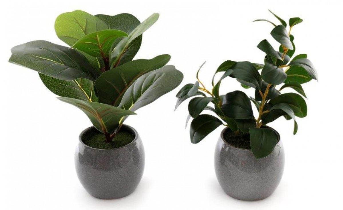 Synergy Plant — JMart Warehouse