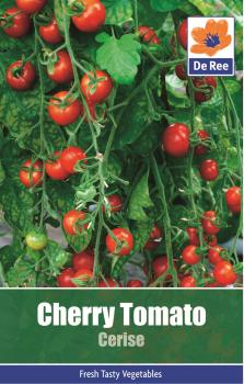 Cherry Tomato Cerise — JMart Warehouse